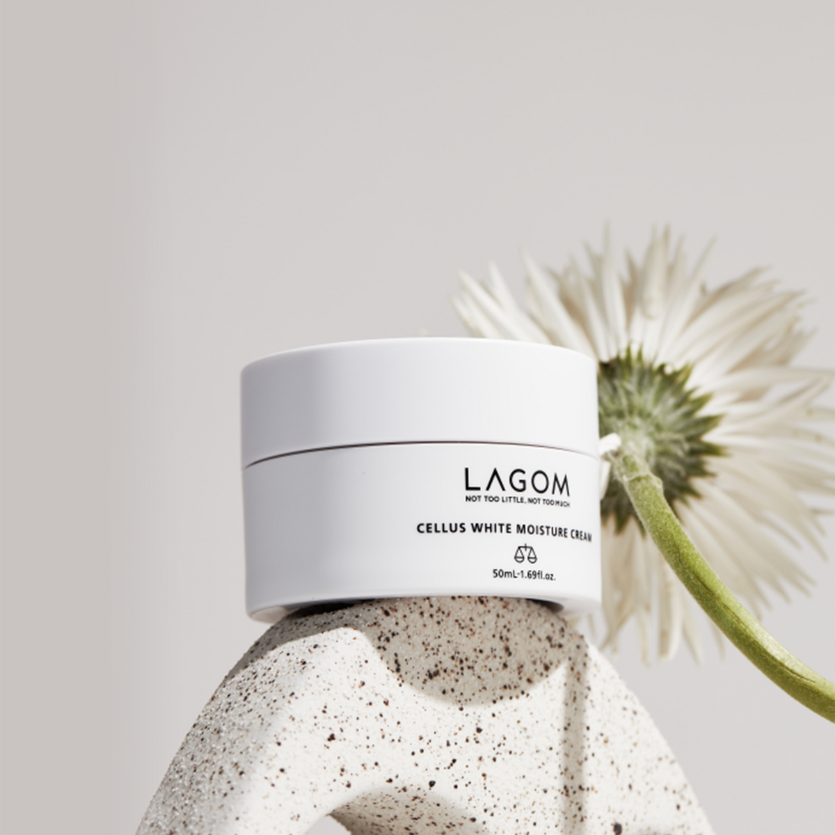 [Lagom] Cellus White Moisture Cream 50ml – StyleKorean Indonesia